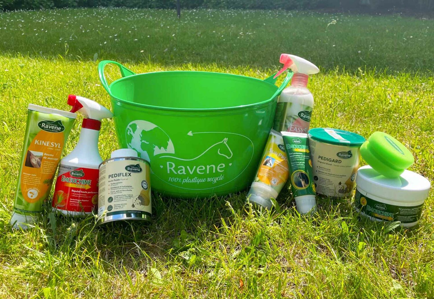 Laboratoire Ravene - Produits de soin pour chevaux