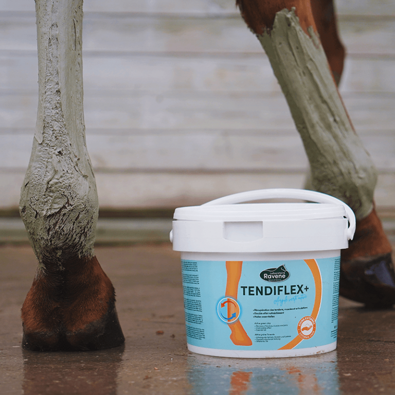 TENDIFLEX + - Ravene